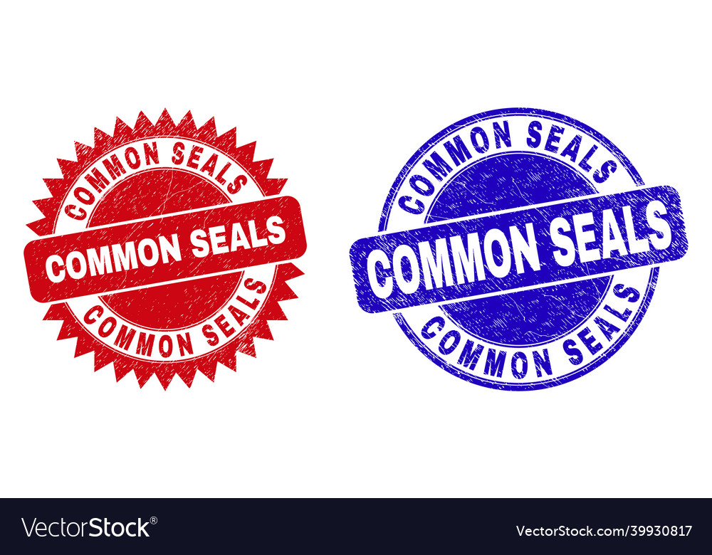 Common seals round and rosette seals with corroded