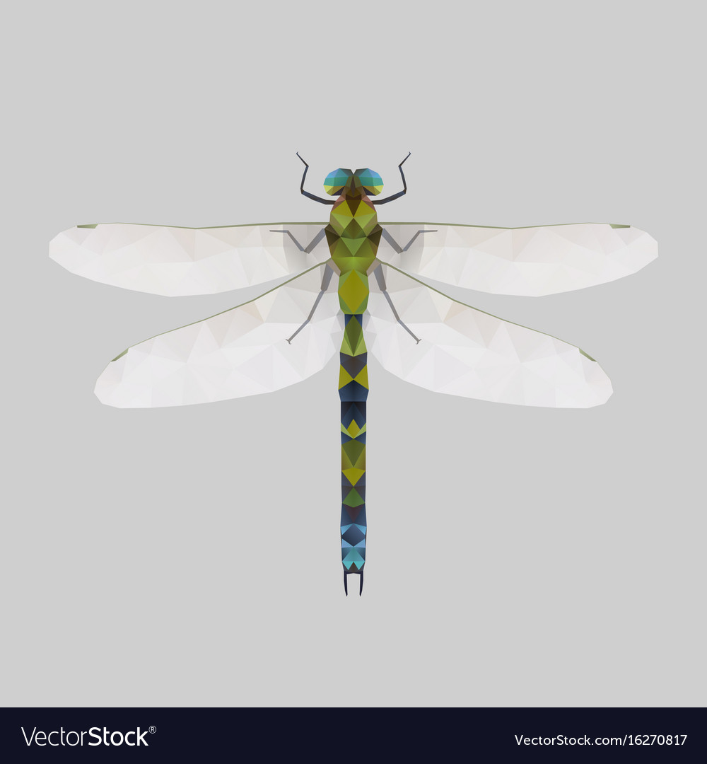 Dragonfly Royalty Free Vector Image - VectorStock