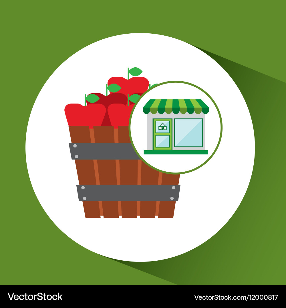 Store fresh apples bucket farm Royalty Free Vector Image