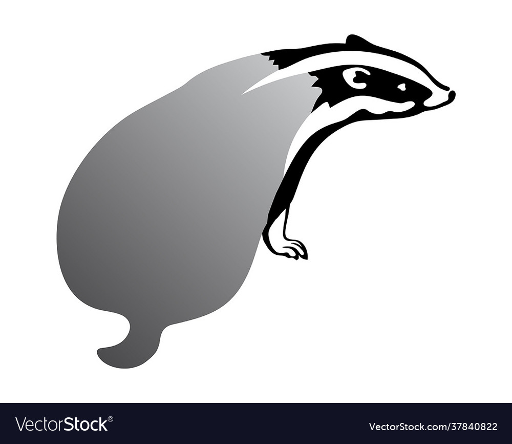 Badger Royalty Free Vector Image - VectorStock