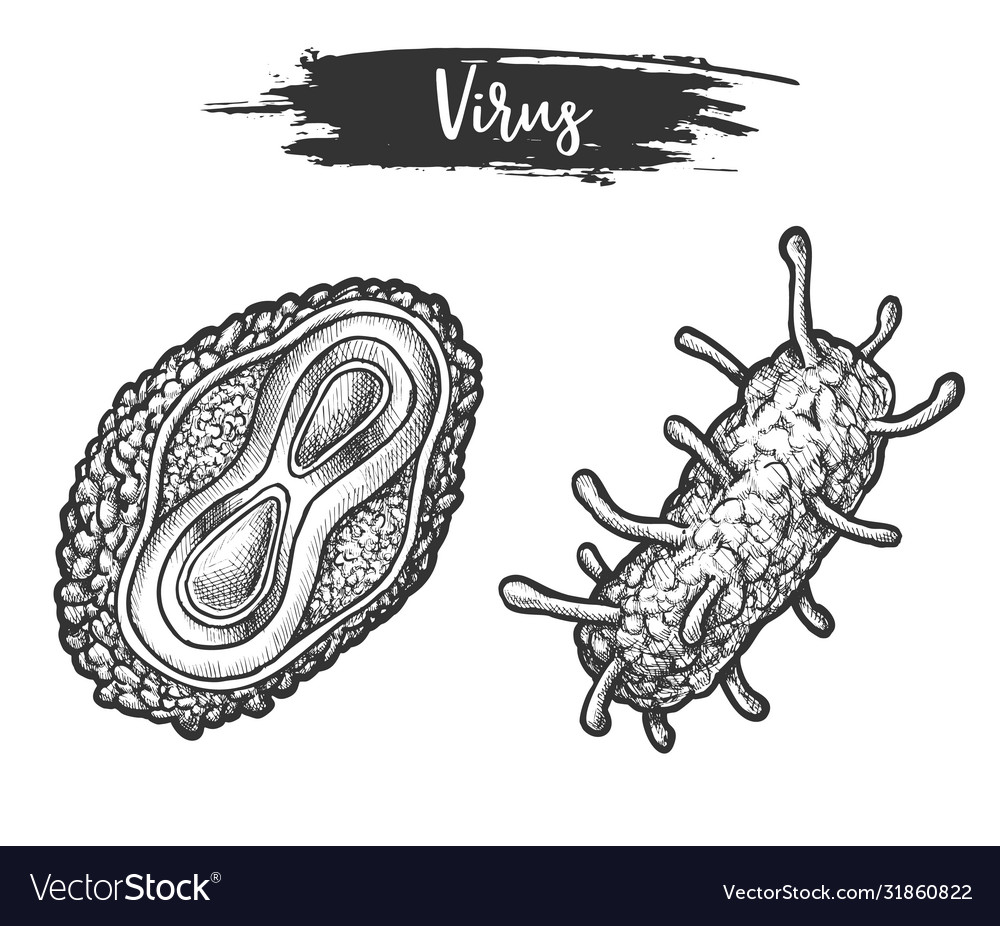 Hand drawn sketch virus cell bacteria Royalty Free Vector