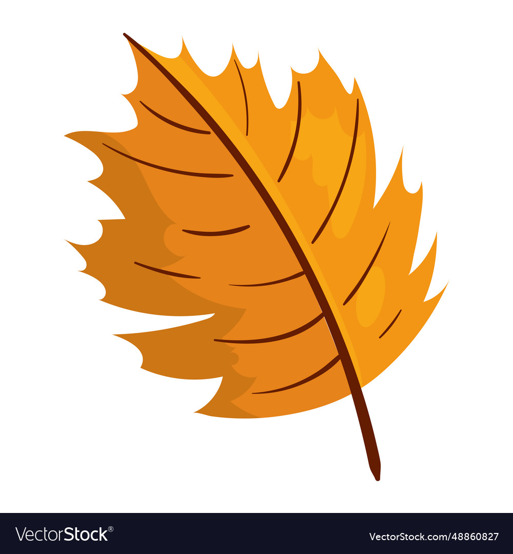 Autumn leaf design Royalty Free Vector Image - VectorStock