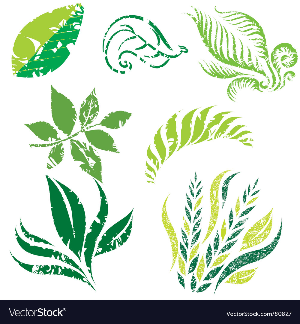 Plant design elements Royalty Free Vector Image