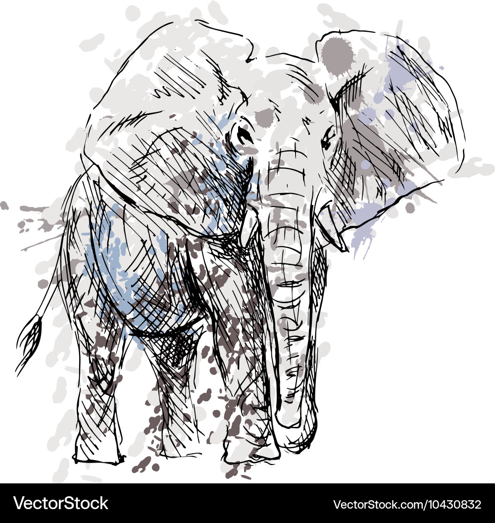 Colored hand drawing of an elephant Royalty Free Vector