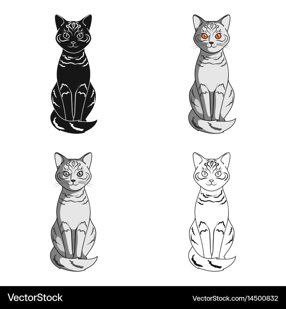Gray catanimals single icon in cartoon style Vector Image