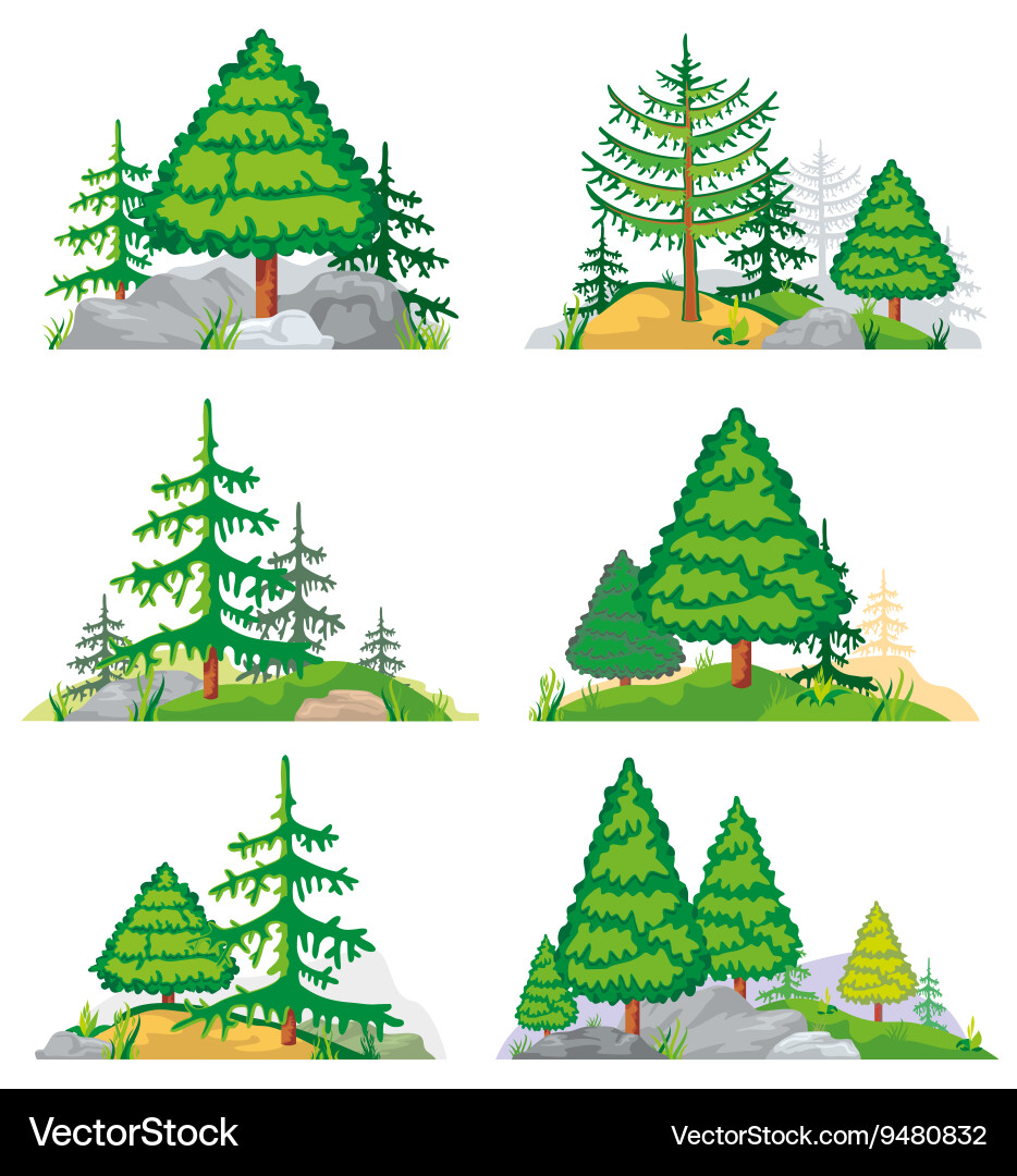 Landscapes with coniferous trees grass and stones Vector Image