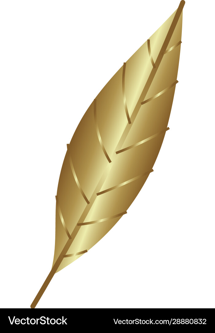 Leaf plant nature golden decoration Royalty Free Vector
