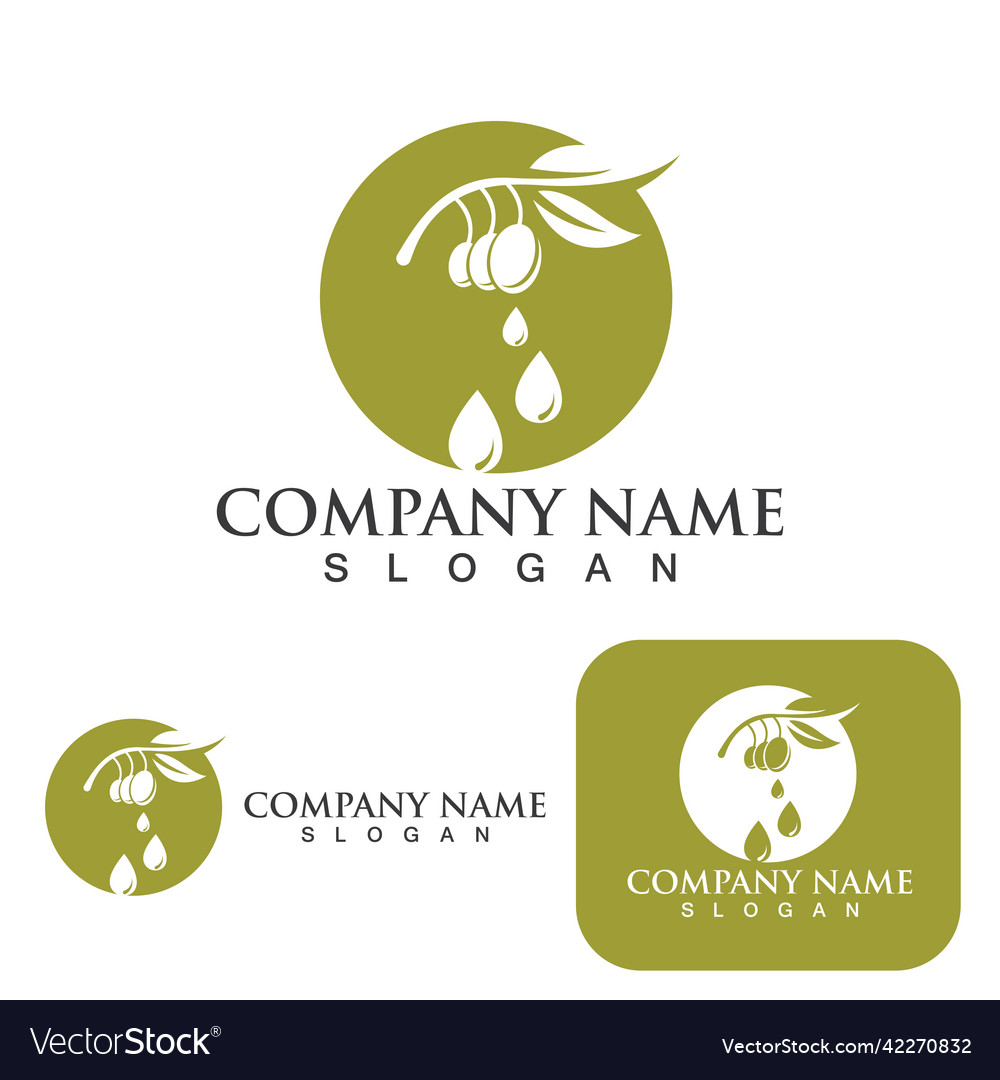 Olive tree Royalty Free Vector Image - VectorStock