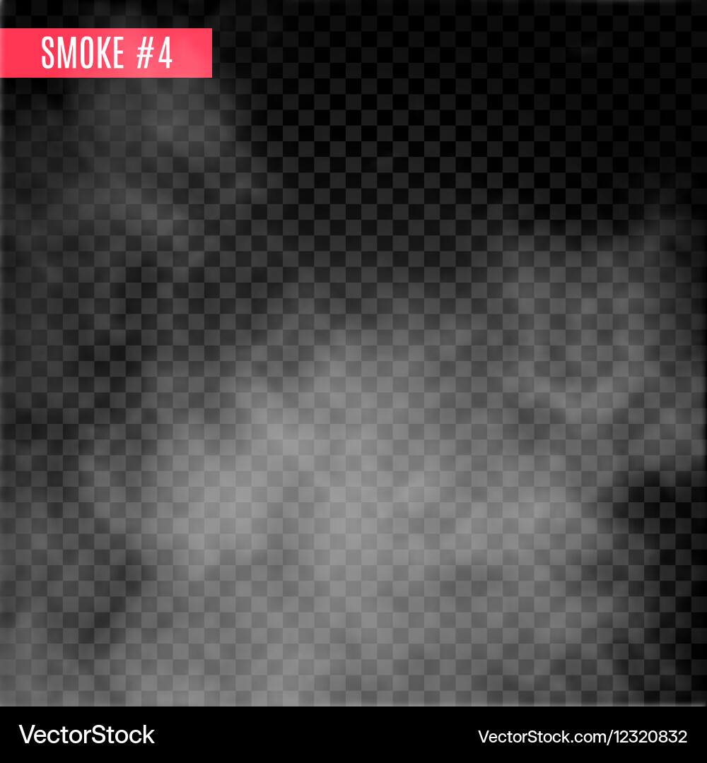 Smoke special effect on transparent fog isolated Vector Image