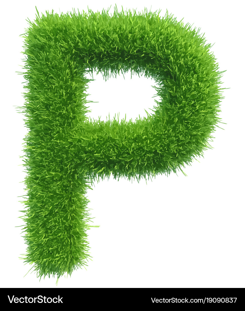 Capital letter p from grass on white Royalty Free Vector