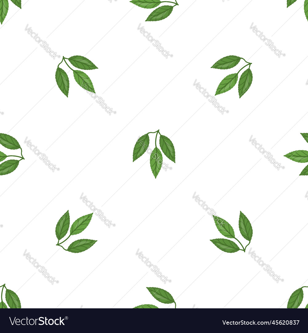 Cocoa leaf tree pattern seamless Royalty Free Vector Image