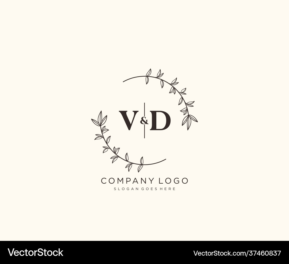 Initial vd letters beautiful floral feminine Vector Image