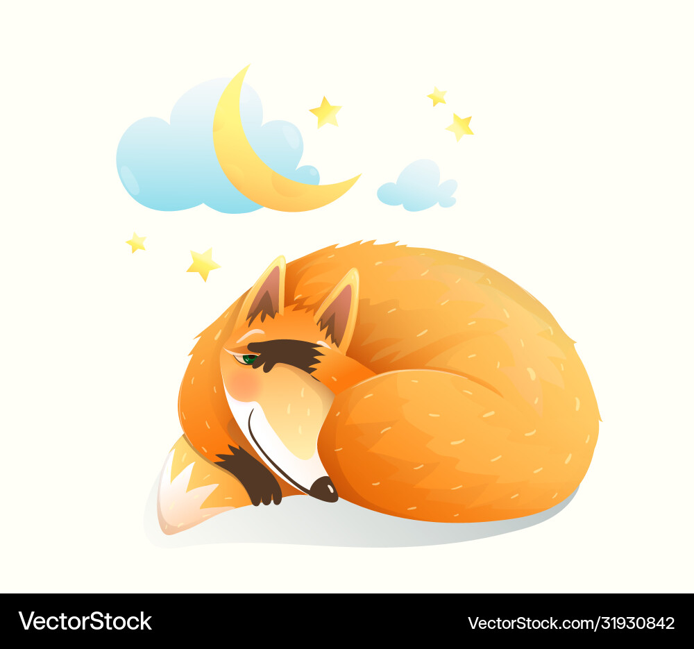 Baanimal fox sleeping at night under stars Vector Image