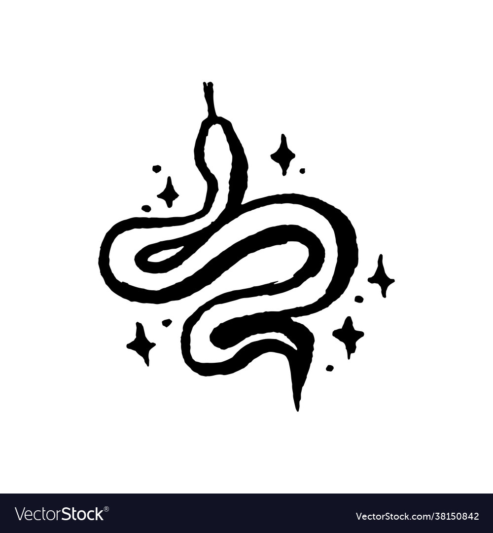 Mysticism witchcraft occult hand drawn snake Vector Image