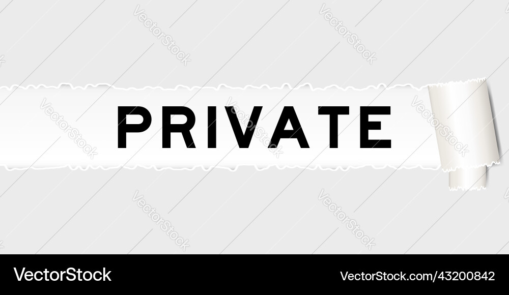 Ripped gray paper background that have word Vector Image