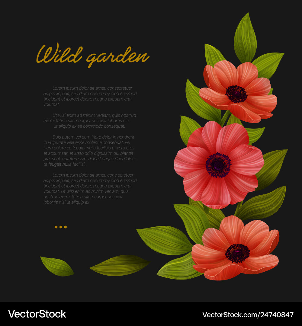 Flowers web banner template with red poppies on Vector Image