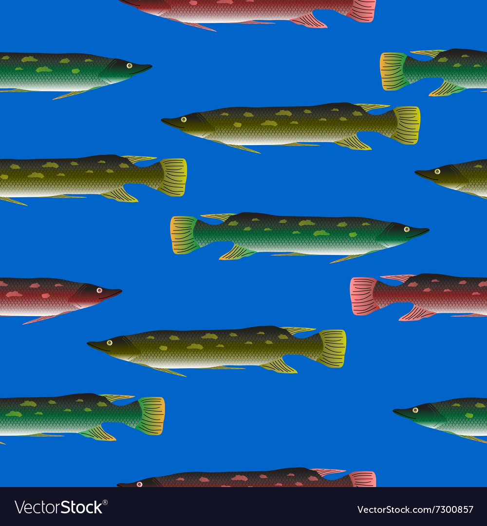 Pike seamless pattern Royalty Free Vector Image