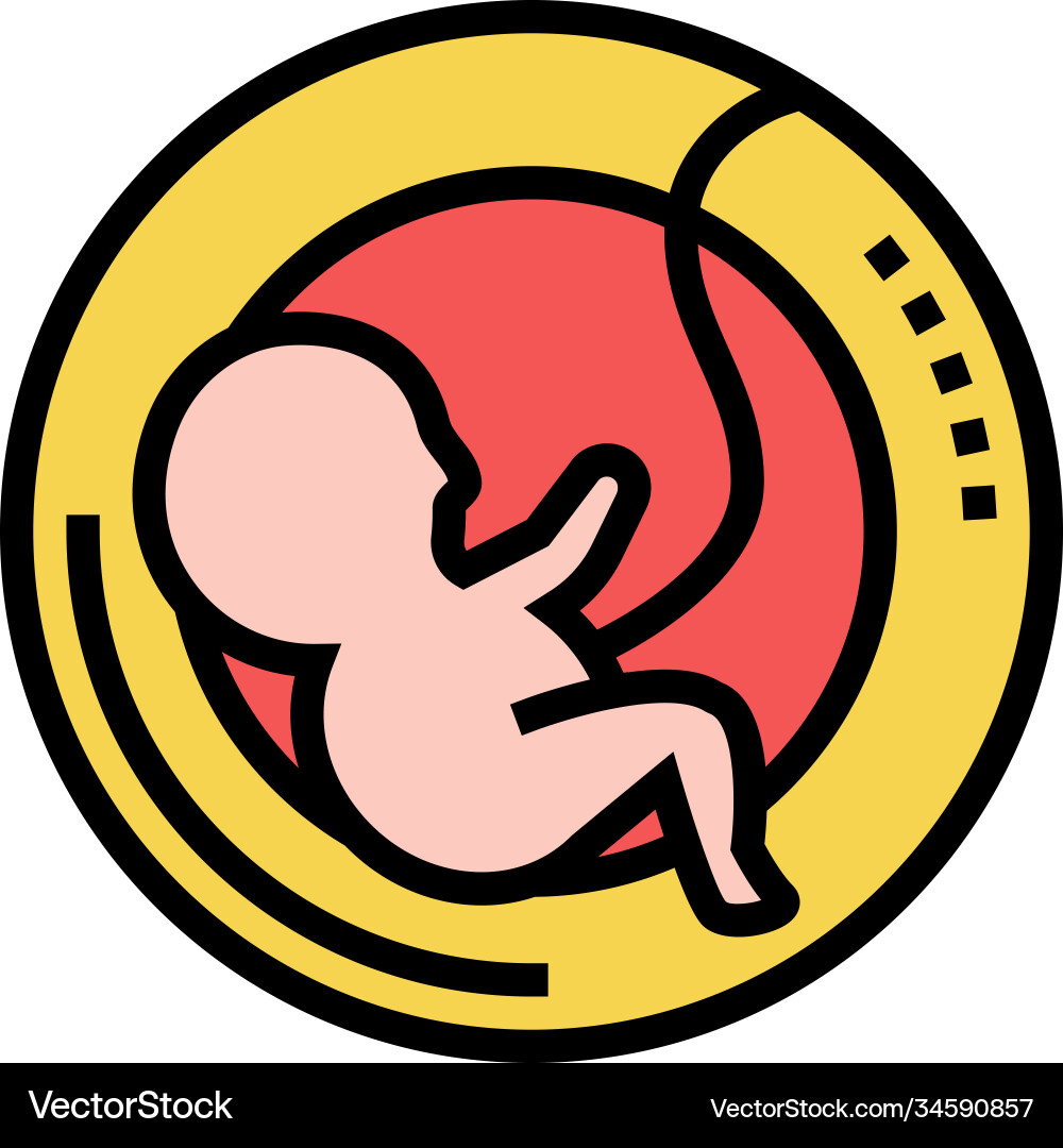 Pregnancy embryo color icon Royalty Free Vector Image