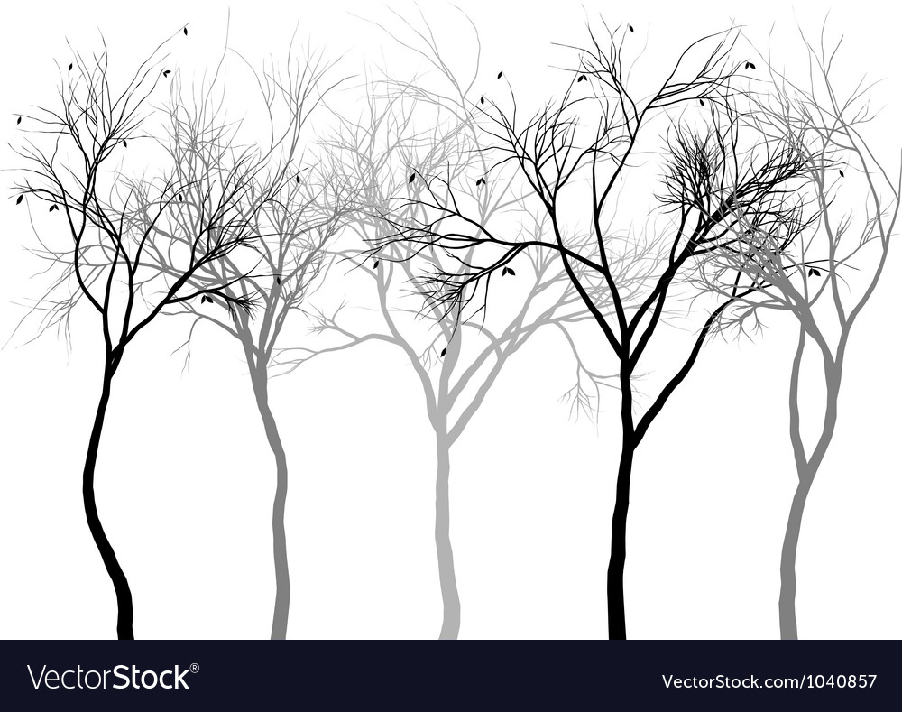 Winter trees Royalty Free Vector Image - VectorStock