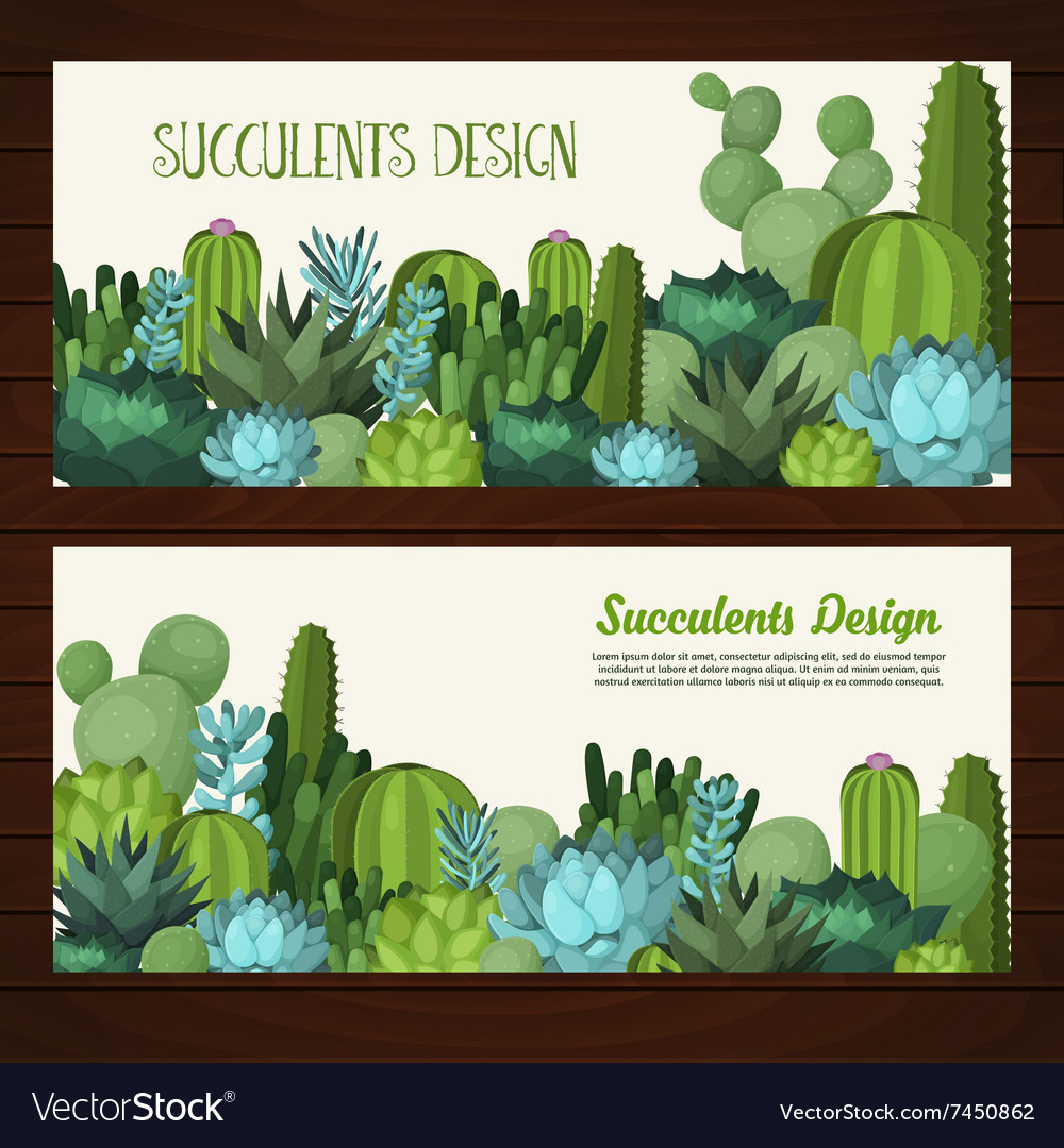 Cute succulent banners Royalty Free Vector Image