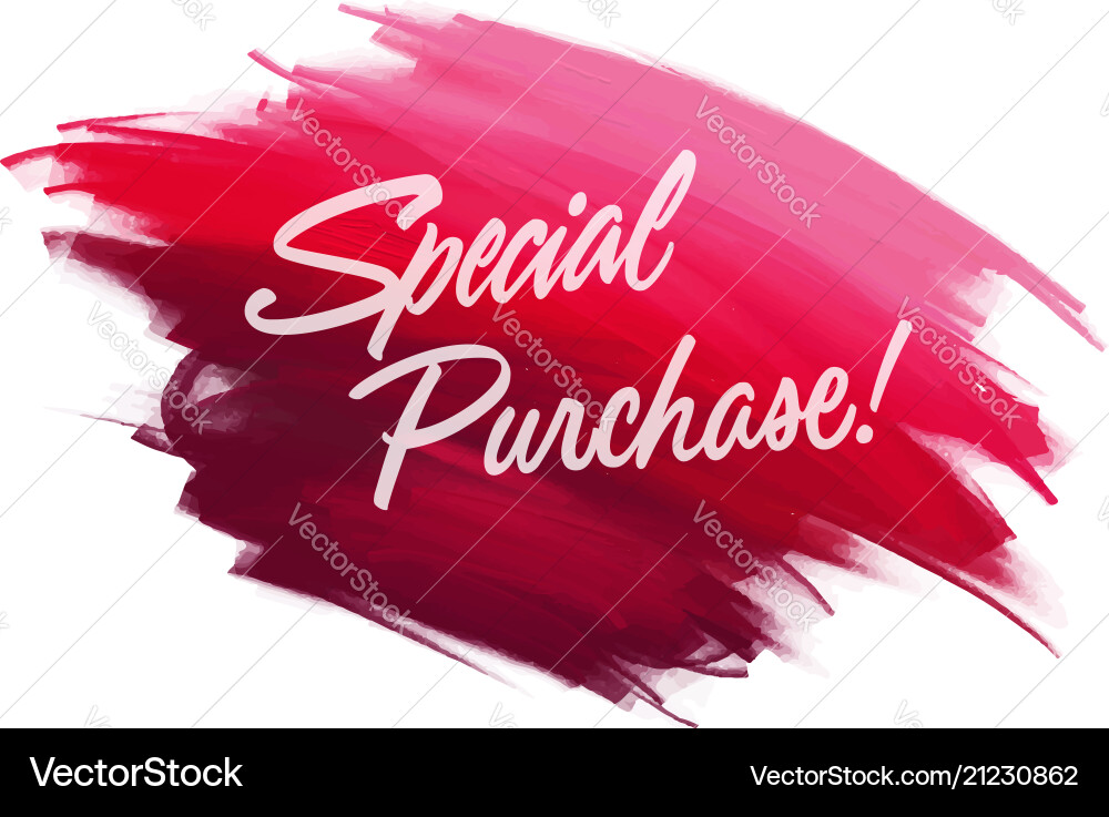 Hand-written lettering brush phrase special Vector Image