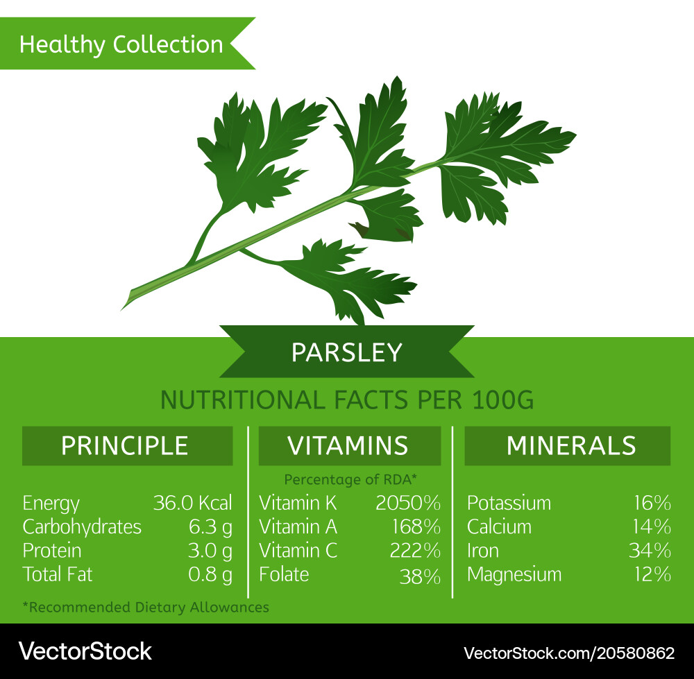 Healthy collection parsley Royalty Free Vector Image