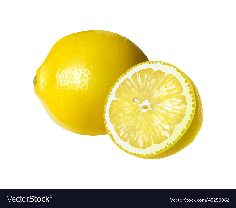 Realistic lemon Royalty Free Vector Image - VectorStock