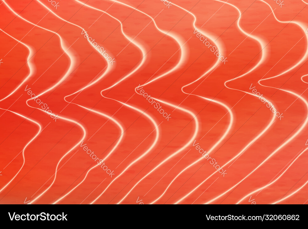Salmon or trout fish meat fillet texture Vector Image