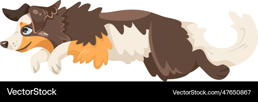 Jumping border collie dog breed with thick coat Vector Image