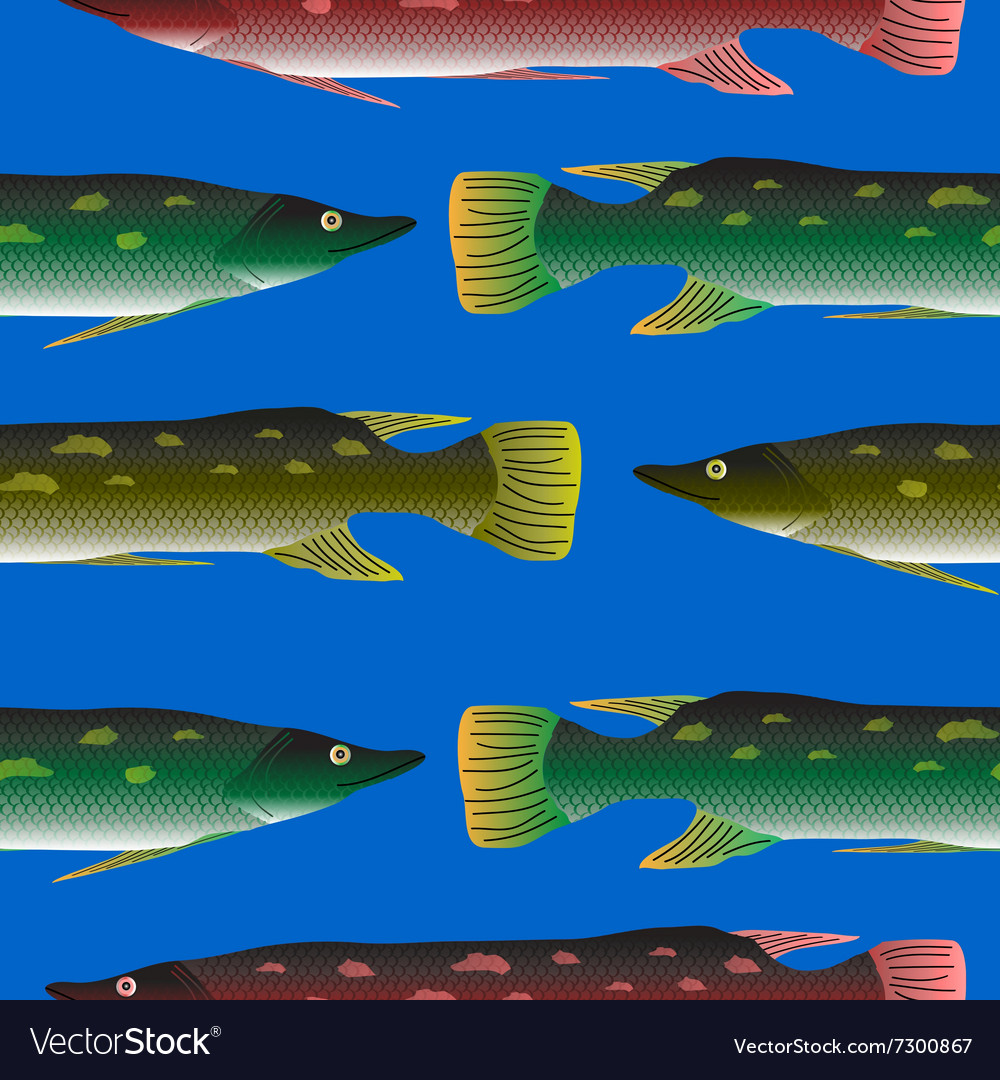 Pike seamless pattern Royalty Free Vector Image