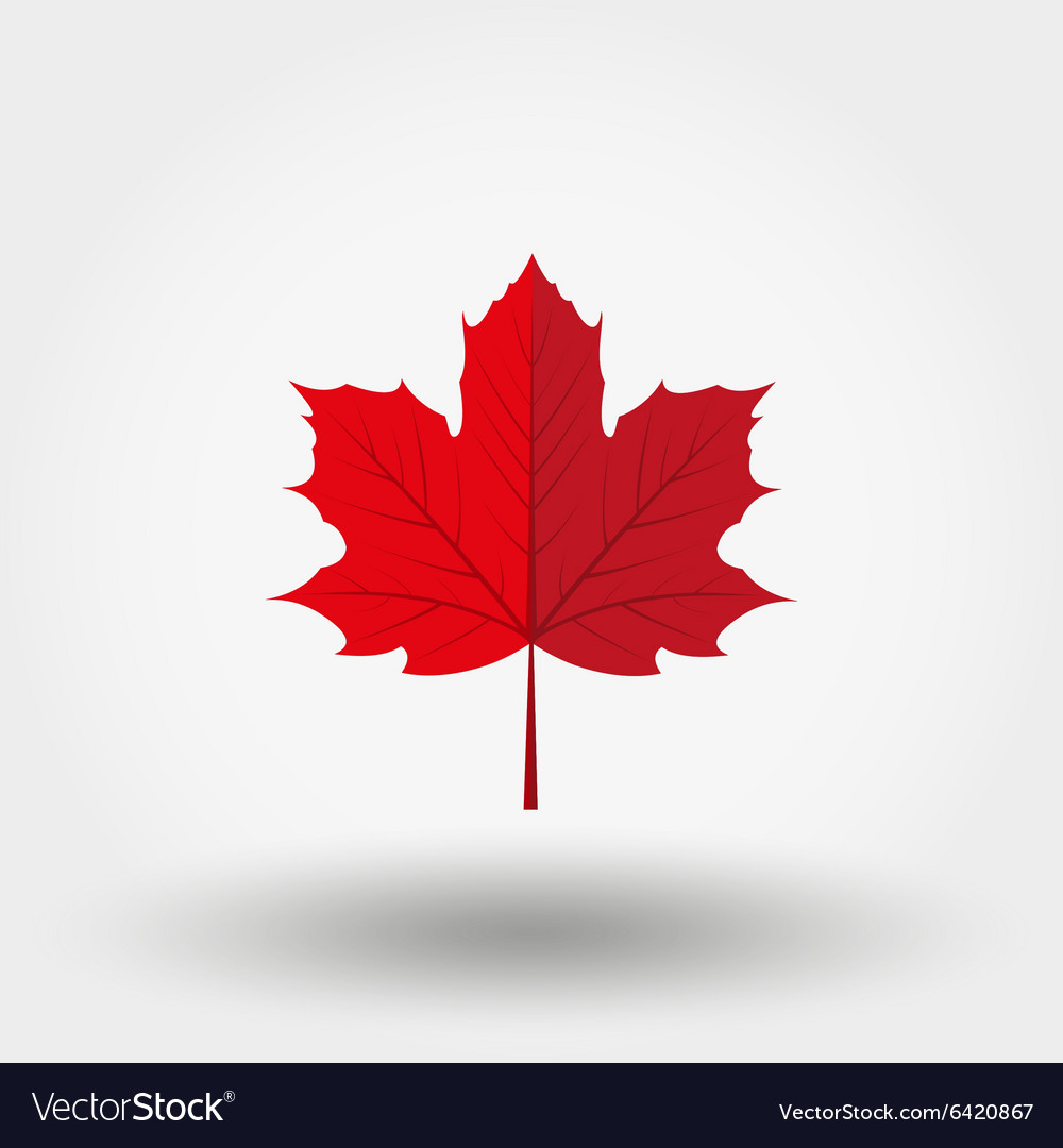 Red maple leaf icon Royalty Free Vector Image - VectorStock