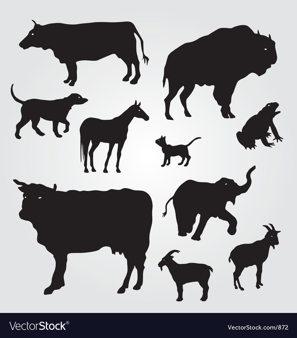 Animals Royalty Free Vector Image - VectorStock