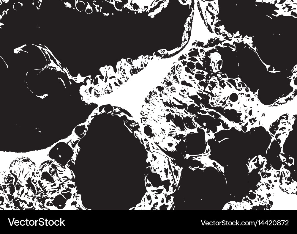 Black and white liquid texture watercolor hand Vector Image