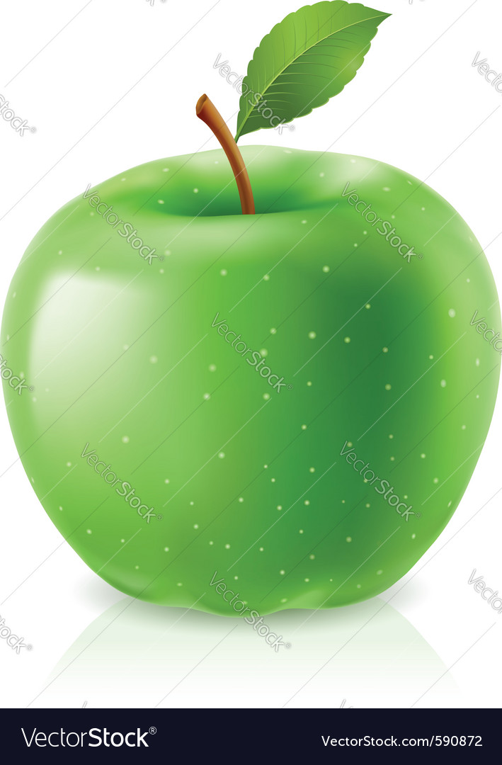 Green apple Royalty Free Vector Image - VectorStock