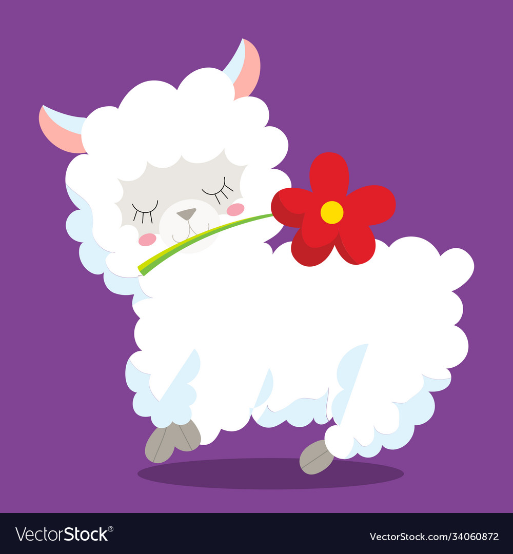 Llama valentine white 04 Royalty Free Vector Image