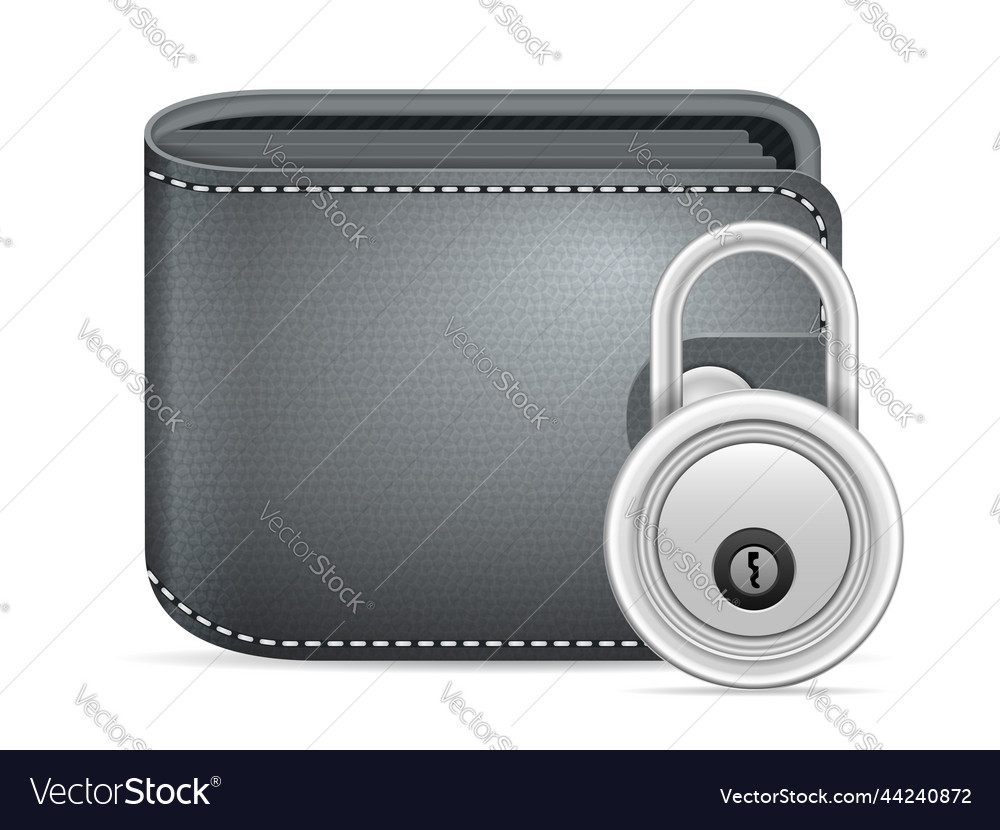 Wallet security Royalty Free Vector Image - VectorStock