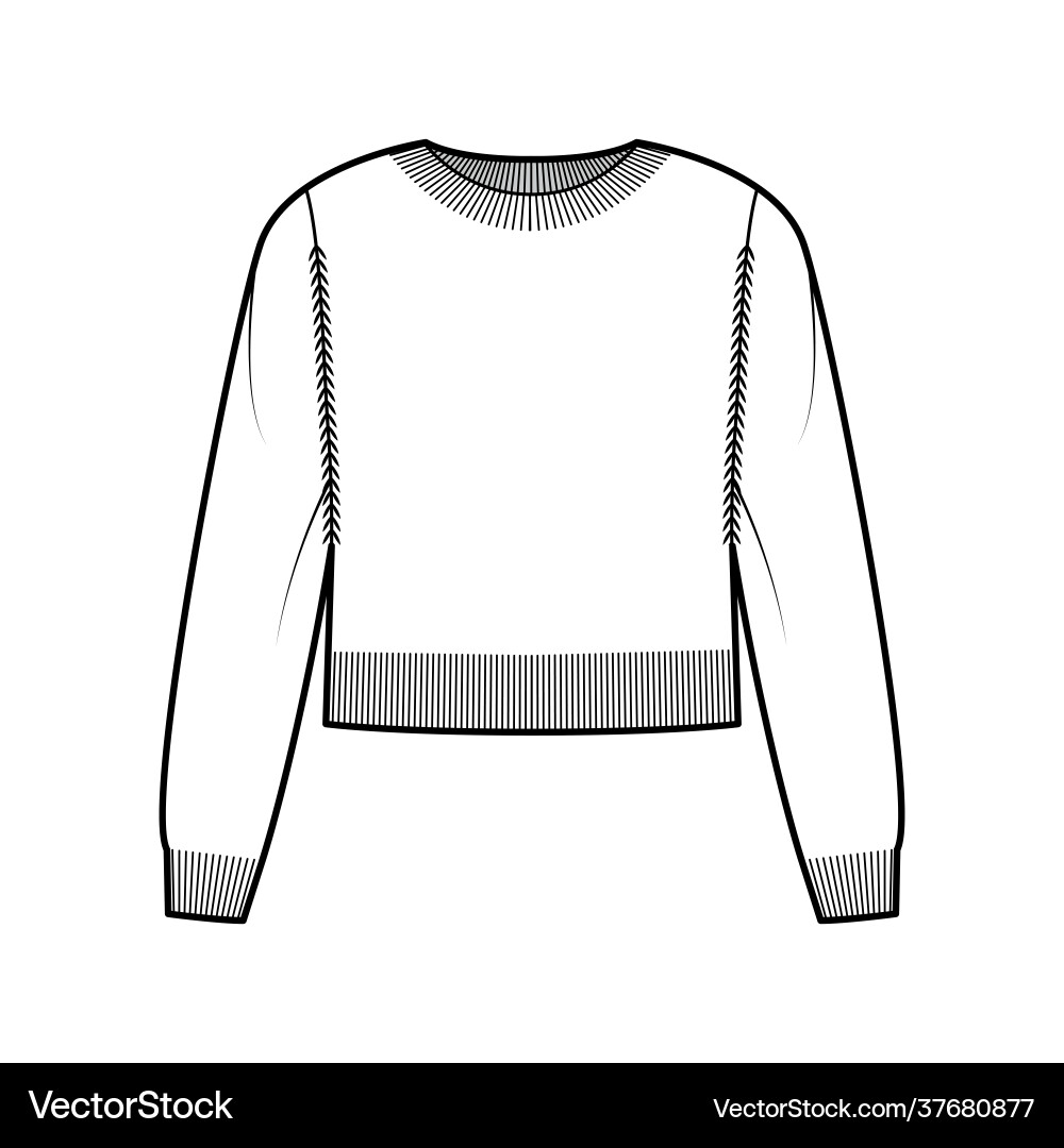 Crew neck cropped sweater technical fashion Vector Image