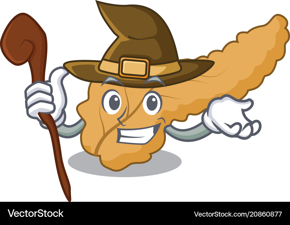 Witch pancreas mascot cartoon style Royalty Free Vector