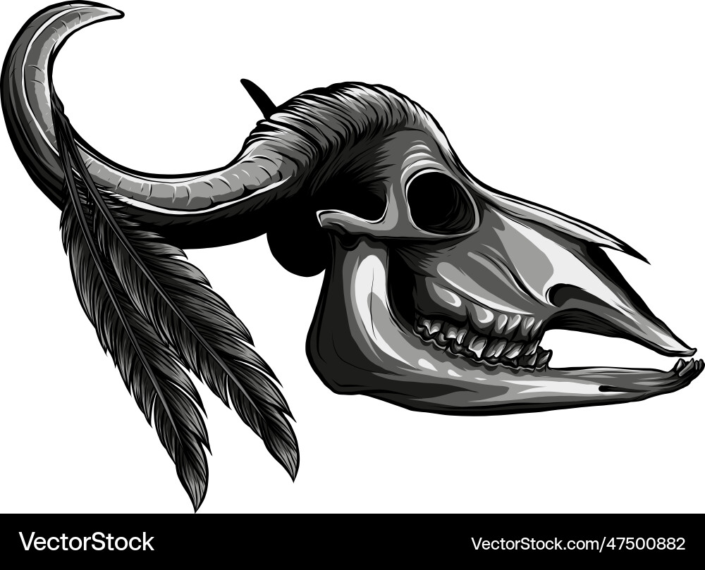 Monochromatic of buffalo skull Royalty Free Vector Image