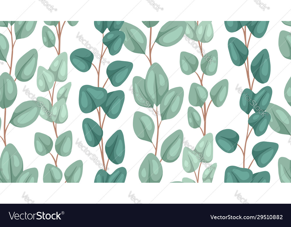 Seamless texture flat eucalyptus populus Vector Image