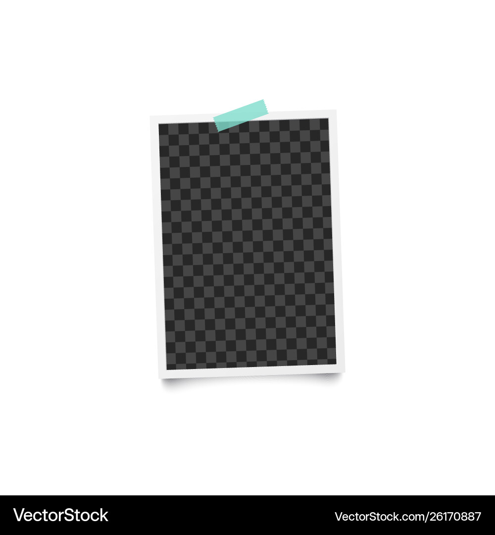 Album blank or empty photo vertical frame on wall Vector Image