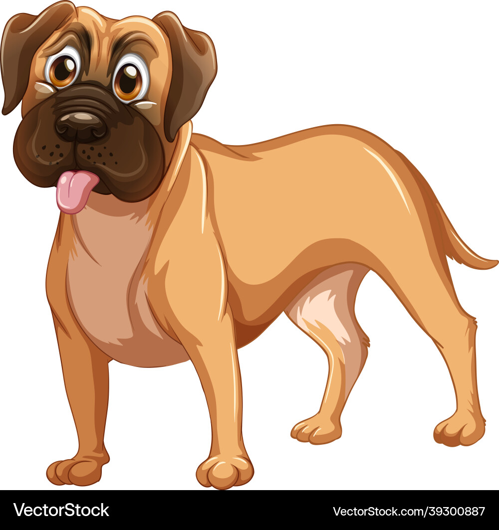 Boxer dog cartoon on white background Royalty Free Vector