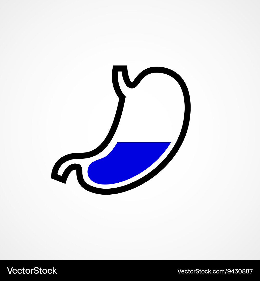 Flat stomach with fluid acid contents Royalty Free Vector