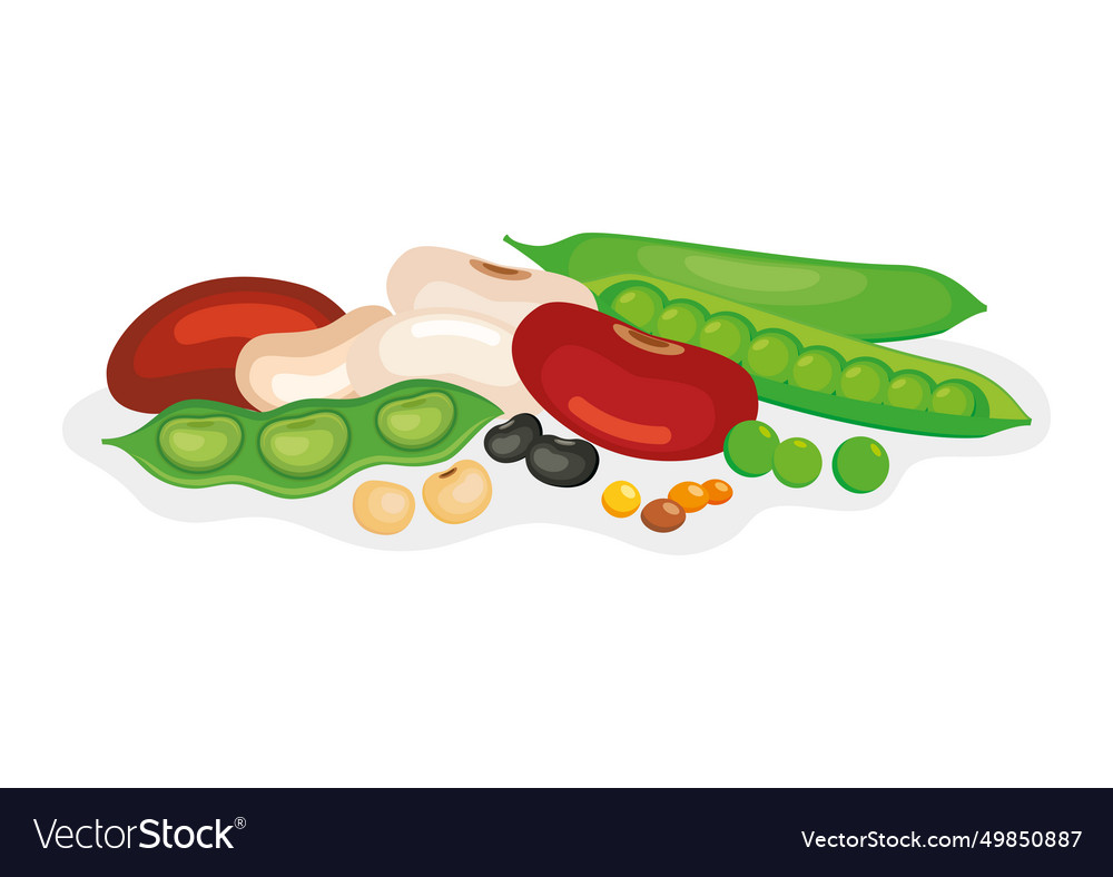 Pile of different dried beans and legumes Vector Image
