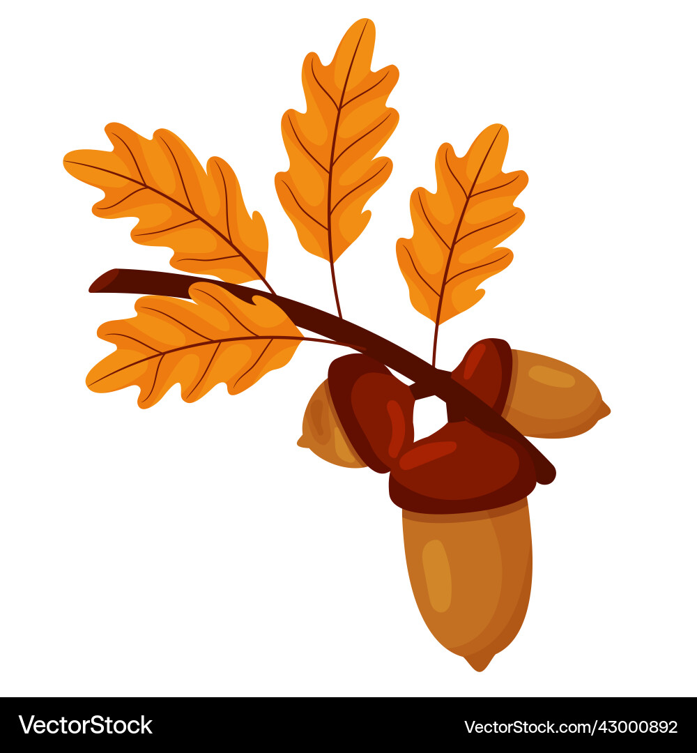 Cartoon acorn on a branch Royalty Free Vector Image