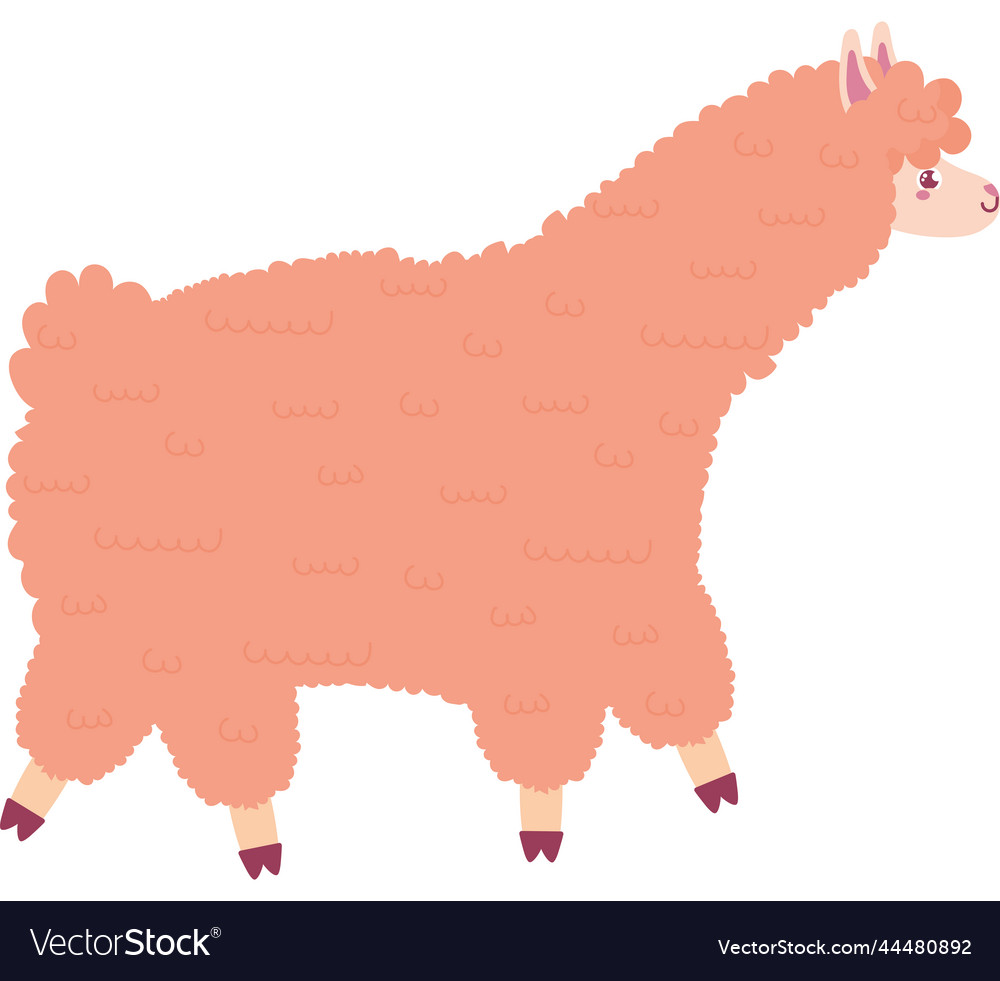 Sweet colored llama Royalty Free Vector Image - VectorStock