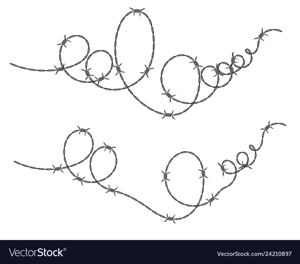 Barbed wire Royalty Free Vector Image - VectorStock