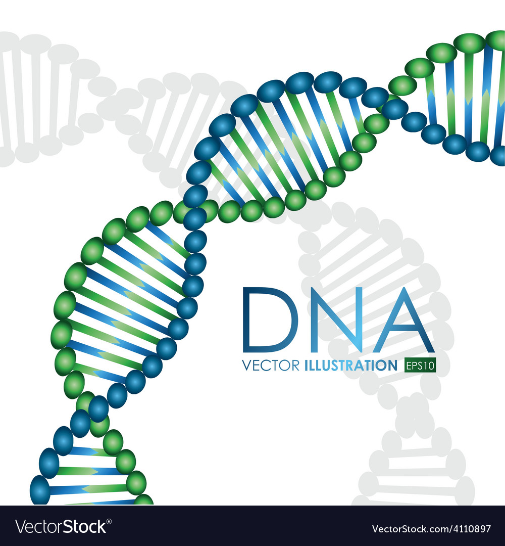 Dna design Royalty Free Vector Image - VectorStock