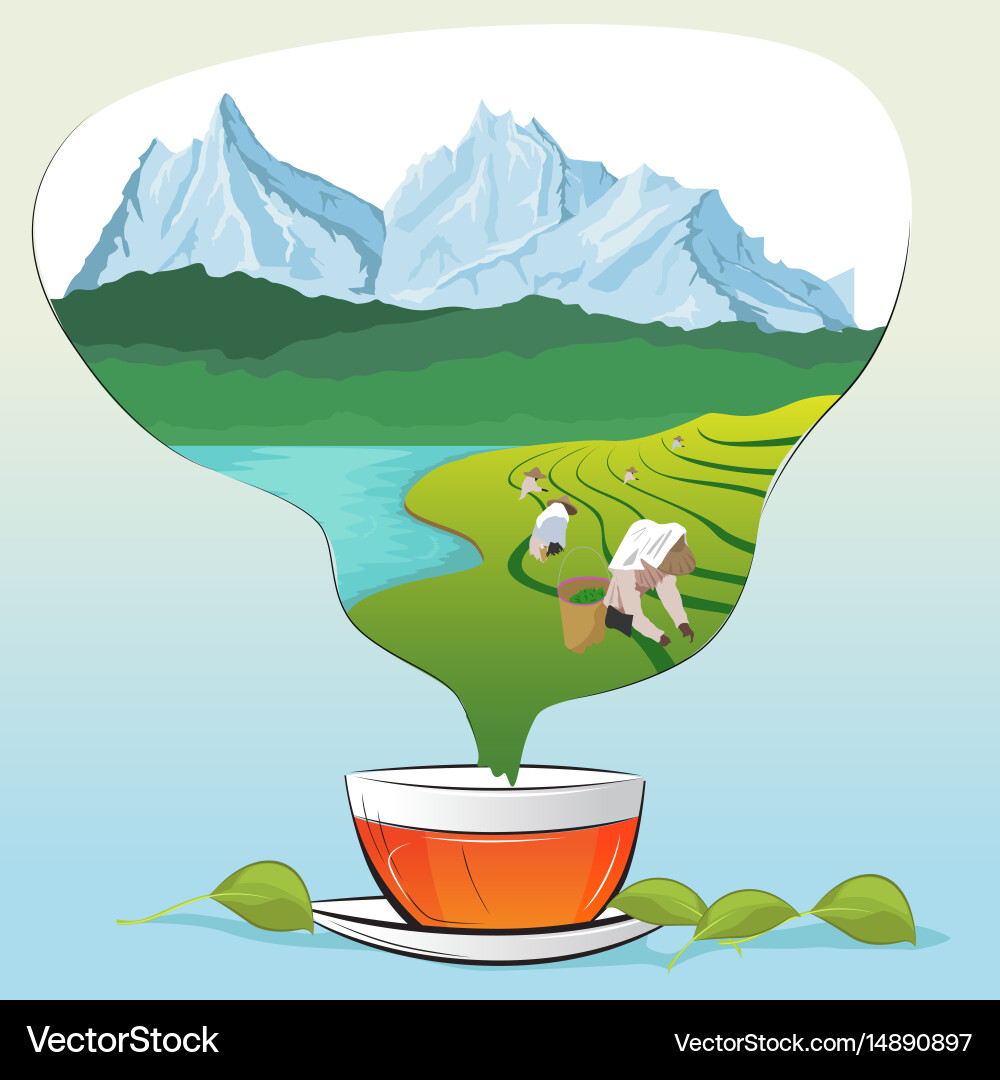 Tea cup with leaves and tea plantations Royalty Free Vector