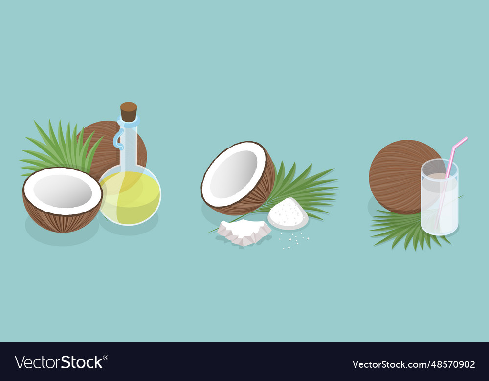 3d Isometric Flat Set Of Cocount Elements Vector Image